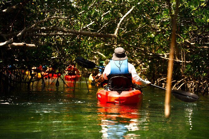 Key West Sandbar Charter With Kayak Tour: Includes Lunch & Drinks - The Sum Up