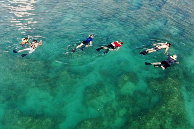 Key West Snorkeling With Breakfast and Unlimited Mimosas - The Snorkeling Location and Marine Life