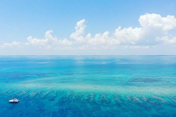 Key West Snorkeling With Breakfast and Unlimited Mimosas - Customer Reviews and Feedback