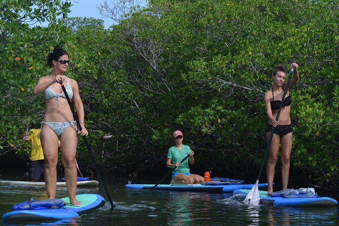 Key West Stand Up Paddleboard Rental - Setting the Scene: What to Expect