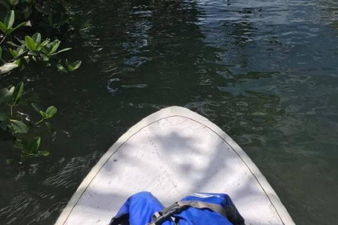 Key West Stand Up Paddleboard Rental - The Itinerary: A Typical Paddle Experience