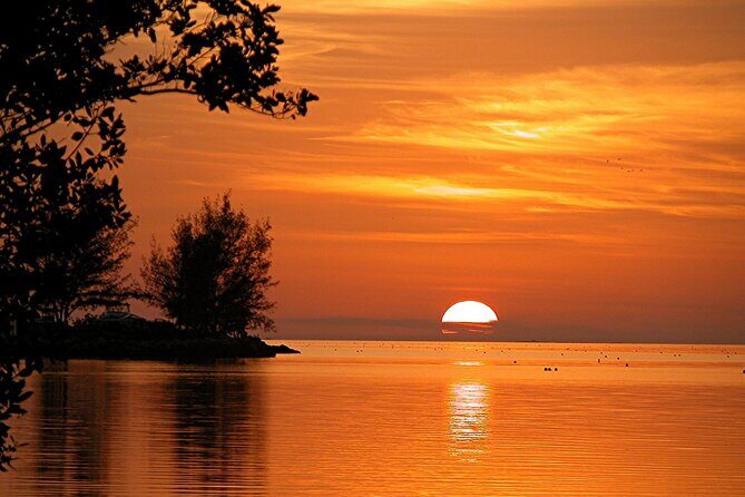 Key West: Sunset Sail Full Bar, Live Music & Dinner & Early Morning Snorkeling - Key Points