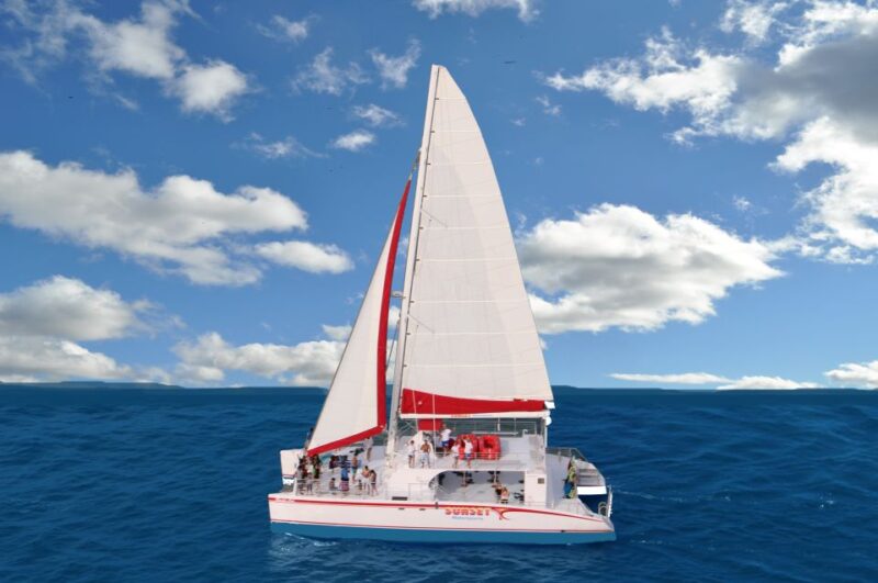 Key West: Sunset Sailing Trip with Open Bar, Food and Music - Who Will Love This Tour?