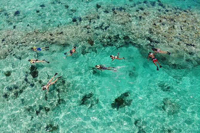 Key West Sunset Snorkel With Unlimited Draft Beer & Wine - Recommendations and Considerations