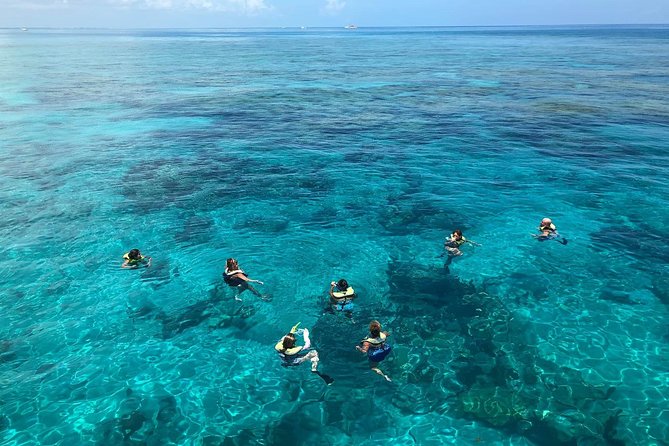 Key West Sunset Snorkel With Unlimited Draft Beer & Wine - Sunset Cruise and Snorkeling Experience