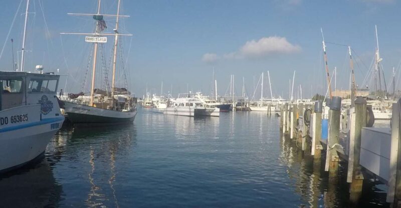 Key West Tour and Coral Reef Snorkeling with Open Bar - Key Points