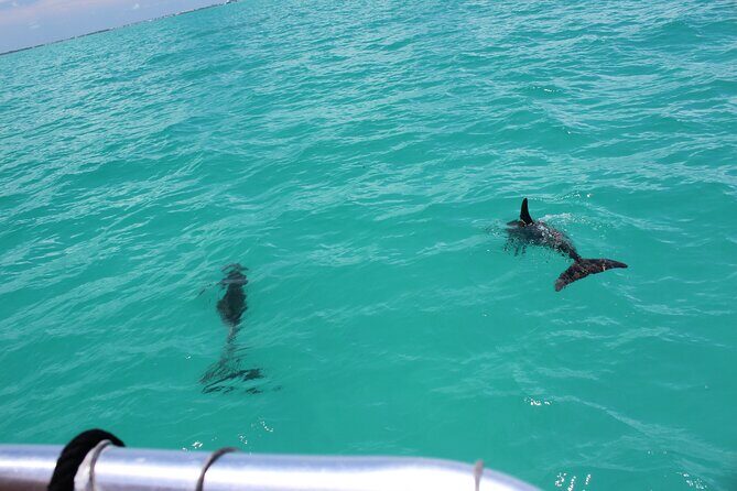Key West Tours from Miami: Dolphin Discovery, Snorkeling & More ! - Frequently Asked Questions
