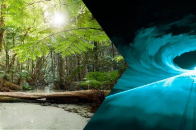 K'gari (Fraser Island) 5-Day Ultimate From Hervey Bay + Illumina - Introducing the Kgari (Fraser Island) 5-Day Ultimate Tour