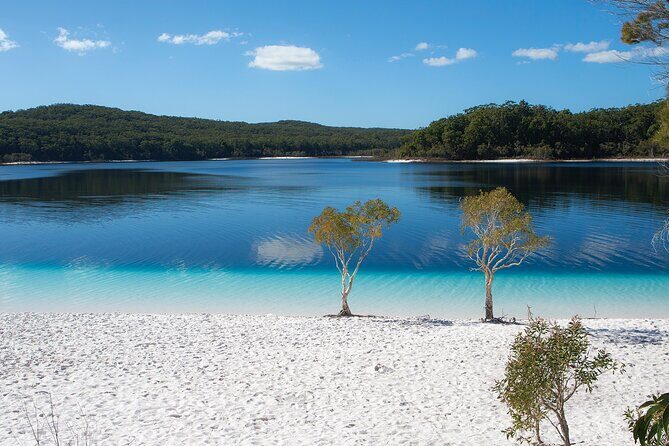 K'gari (Fraser Island) All Inclusive Day Tour - Key Points