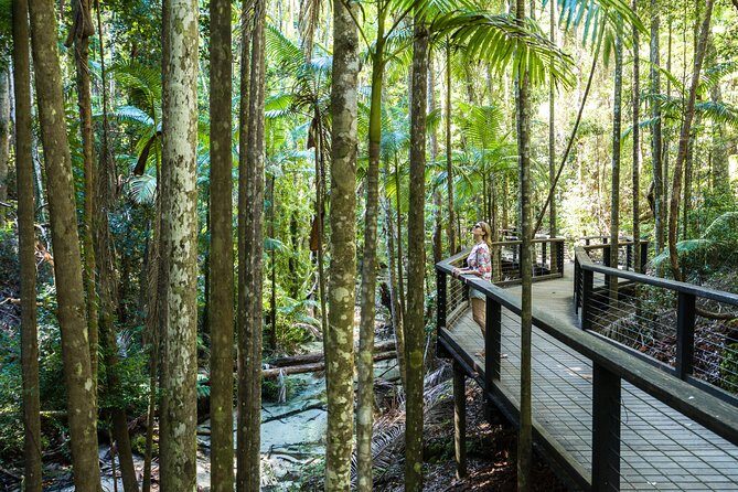 K'gari (Fraser Island) All Inclusive Day Tour - What the Experience Feels Like