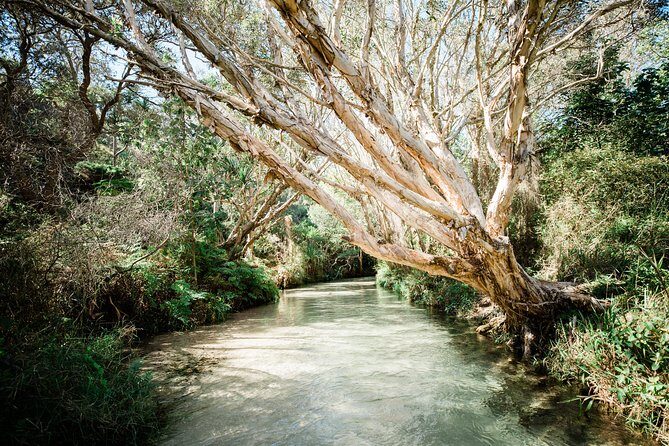 K'gari (Fraser Island) All Inclusive Day Tour - Analyzing the Value: Is It Worth the Price?