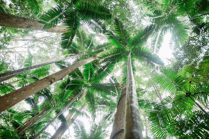 K'gari (Fraser Island) Explorer 2-Day Tour - Day 1: The Natural Wonders Begin