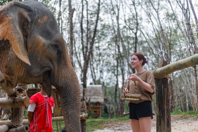 Khao Lak: 1-Hour Elephant Sanctuary Eco-Journey with Shuttle - Detailed Breakdown of the Itinerary