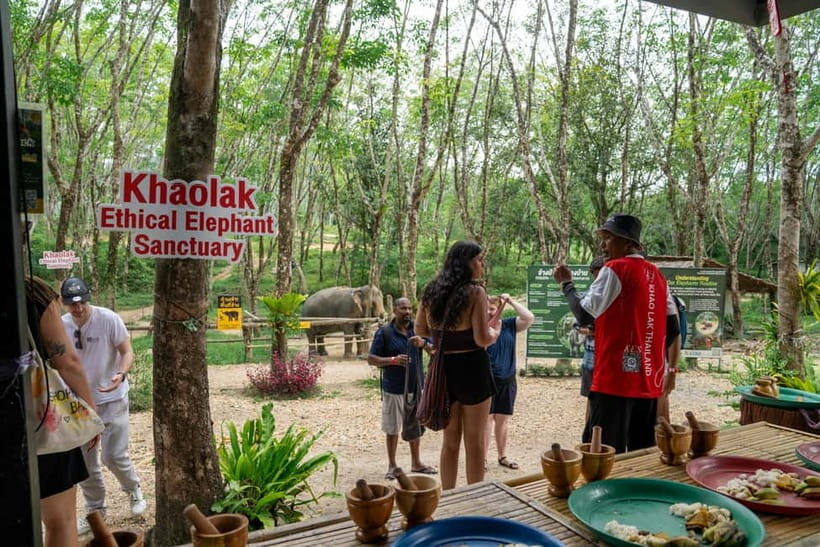 Khao Lak: 2-Hour Elephant Sanctuary Eco-Walk with Guided - An In-Depth Look at the Experience