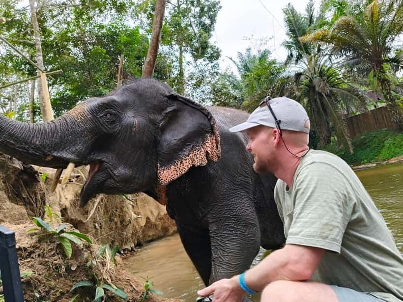 Khao Lak: 2-Hour Elephant Sanctuary Eco-Walk with Guided - The Value for Your Money
