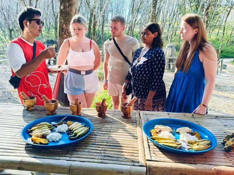 Khao Lak: 2-Hour Elephant Sanctuary Eco-Walk with Guided - The Sum Up