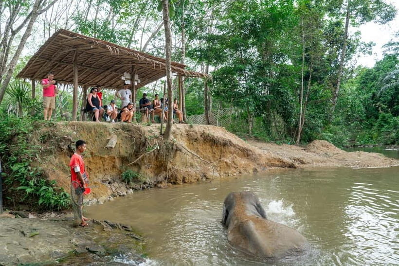 Khao Lak: 2-Hour Elephant Sanctuary Eco-Walk with Guided - FAQ