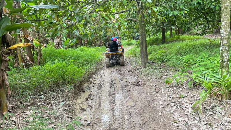 Khao Lak: ATV Quad Bike Tour - An In-Depth Look at the ATV Quad Bike Tour