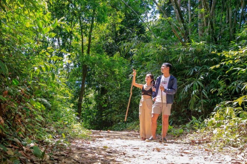 Khao Lak: Cheow Lan Lake Overnight Trip with Elephant Care - Real Traveler Perspectives