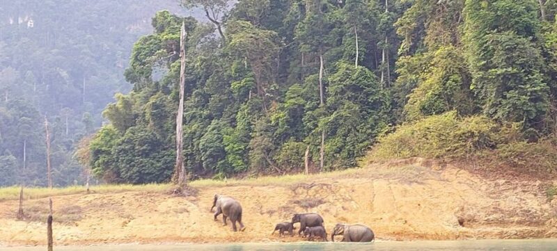 Khao Lak: Cheow Lan Lake Romantic Sunset Cruise with Drinks - FAQ