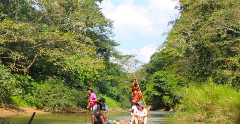 Khao Lak: Early Bird Khao Sok National Park Bamboo Rafting - Who Is This Tour For?