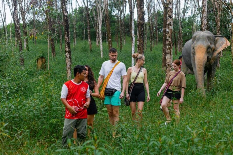 Khao Lak Eco Safari: Elephant Sanctuary Small Group Tour - Key Points