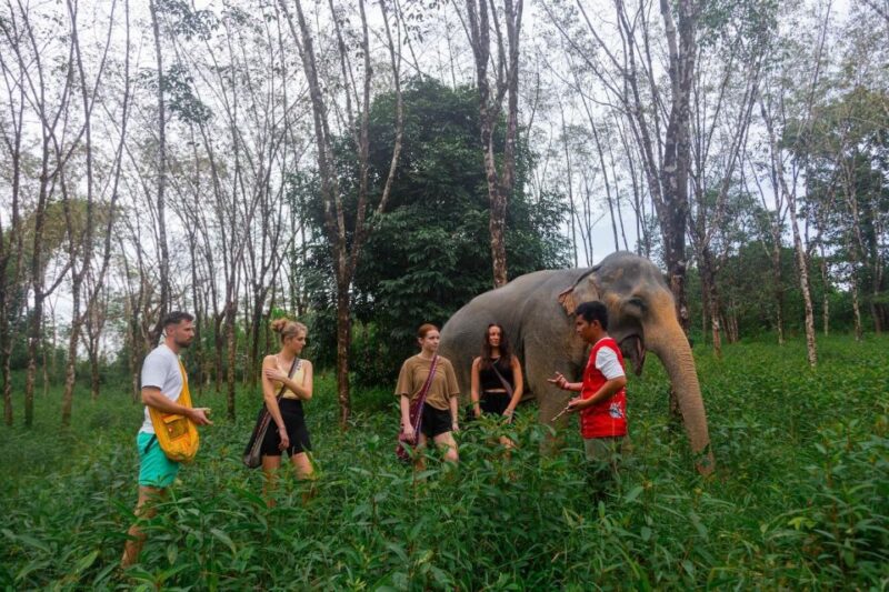 Khao Lak Eco Safari: Elephant Sanctuary Small Group Tour - Who Should Consider This Tour?
