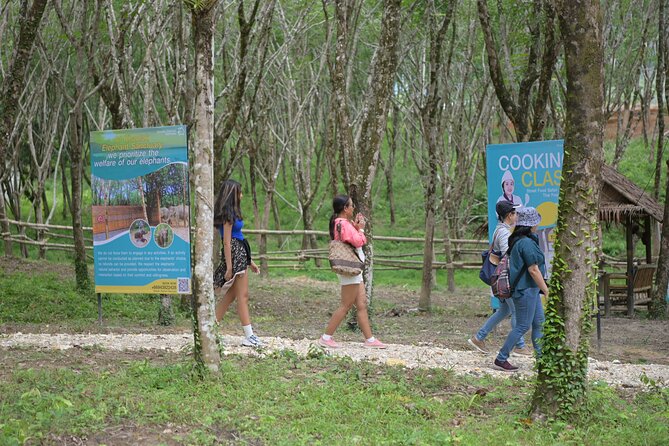 Khao Lak Eco-Safari: Elephants, Tsunami Museum, and Turtles - The Value of the Tour