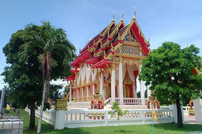 Khao Lak Eco-Safari: Elephants, Tsunami Museum, and Turtles - The Wildlife Encounters