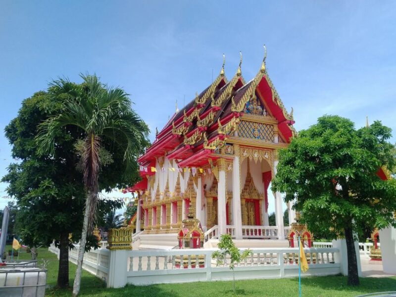 Khao Lak Eco-Safari: Elephants, Tsunami Museum, and Turtles - Authentic and Respectful Encounters