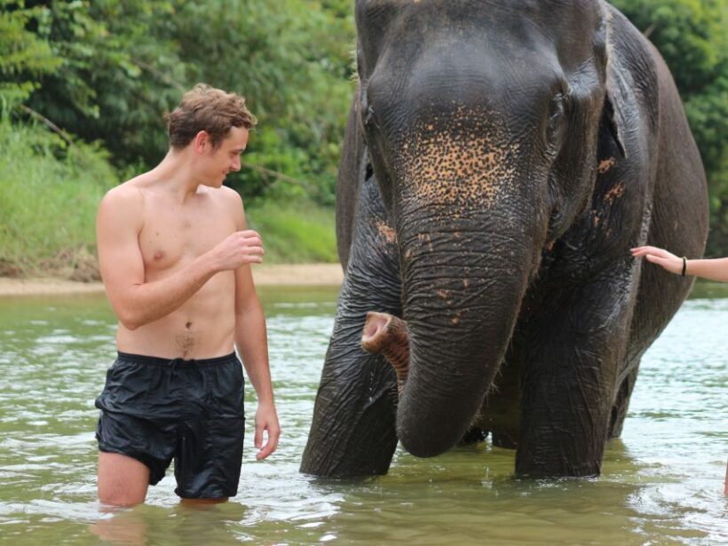 Khao Lak: Elephant Bathing and Turtle Center Visit - Frequently Asked Questions