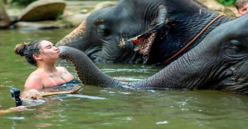 Khao Lak: Elephant Safari with Lunch - Key Points
