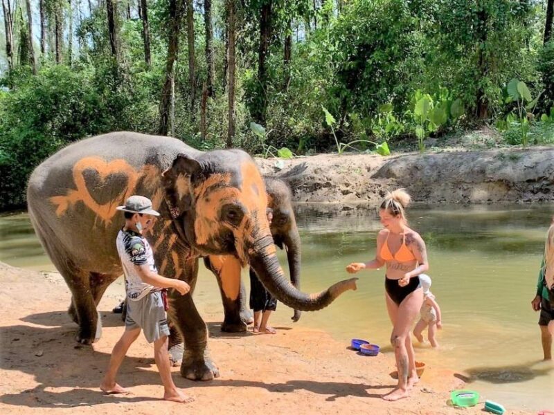 Khao Lak: Elephant Sanctuary Guided Tour - The Itinerary in Detail