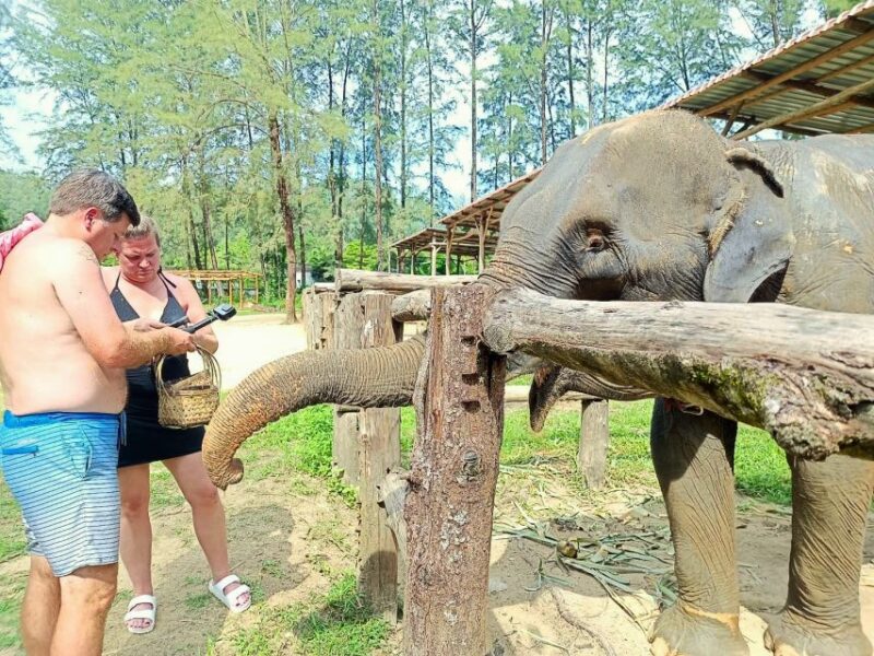 Khao Lak: Elephant Sanctuary Guided Tour - Authenticity and Ethical Considerations