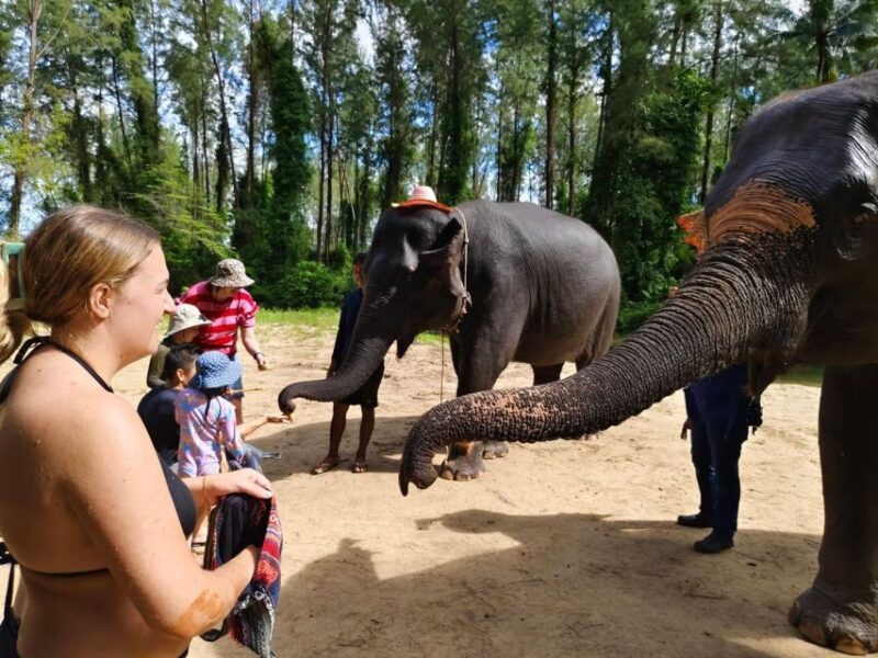 Khao Lak: Elephant Sanctuary Guided Tour - The Price and Its Value