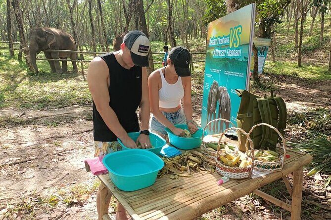 Khao Lak Elephant Sanctuary Tour with Waterfall and Lunch - A Detailed Look at the Khao Lak Elephant Sanctuary Tour