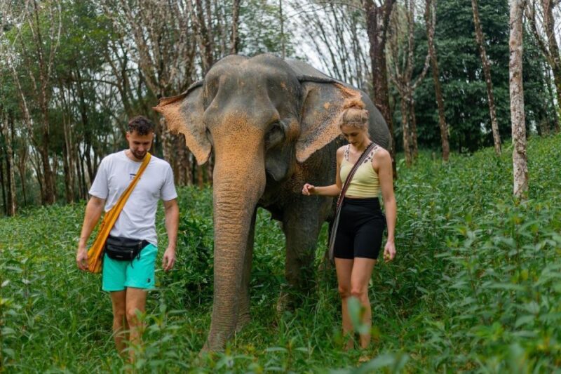 Khao Lak: Elephant Sanctuary Visit and Mangrove Kayak Tour - Who Will Love This Tour?