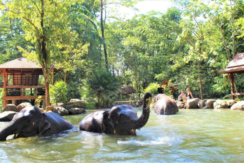Khao Lak: Ethical Elephant Sanctuary Experience - Key Points