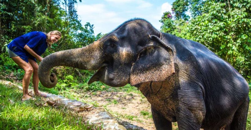 Khao Lak: Ethical Elephant Sanctuary Experience - Potential Drawbacks or Considerations