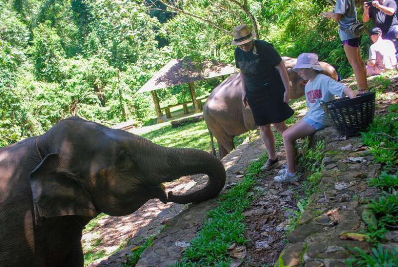 Khao Lak: Ethical Elephant Sanctuary Experience - FAQs