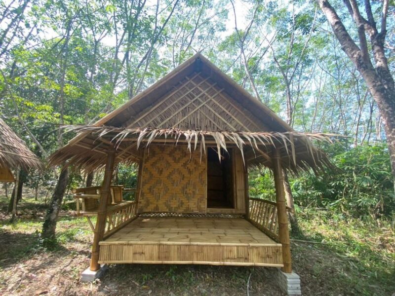 Khao Lak Ethical Elephant Sanctuary Overnight Program - Final Thoughts