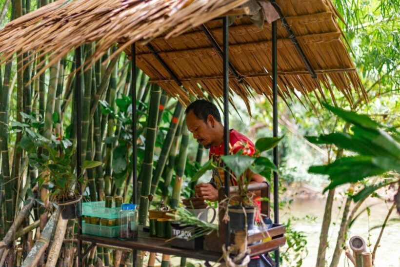 Khao Lak: Half day Bamboo Rafting Tour with Lunch - Final Thoughts