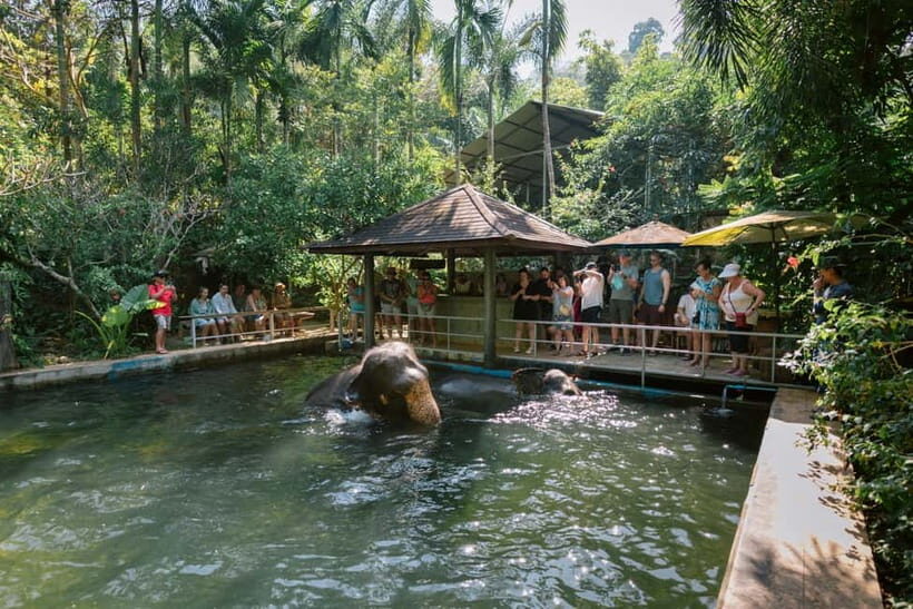 Khao Lak: Half Day Elephant Sanctuary w/Meal&Hotel Transfer - Key Points