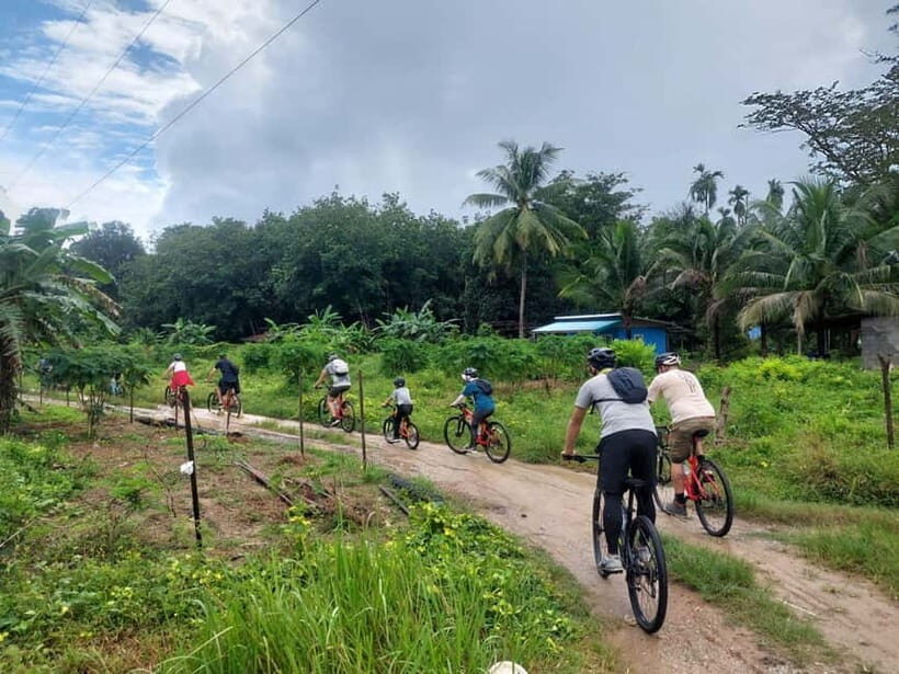 Khao Lak: Half-day Waterfalls & Lakes Bike Tour with Lunch - An In-depth Look at the Tour Experience