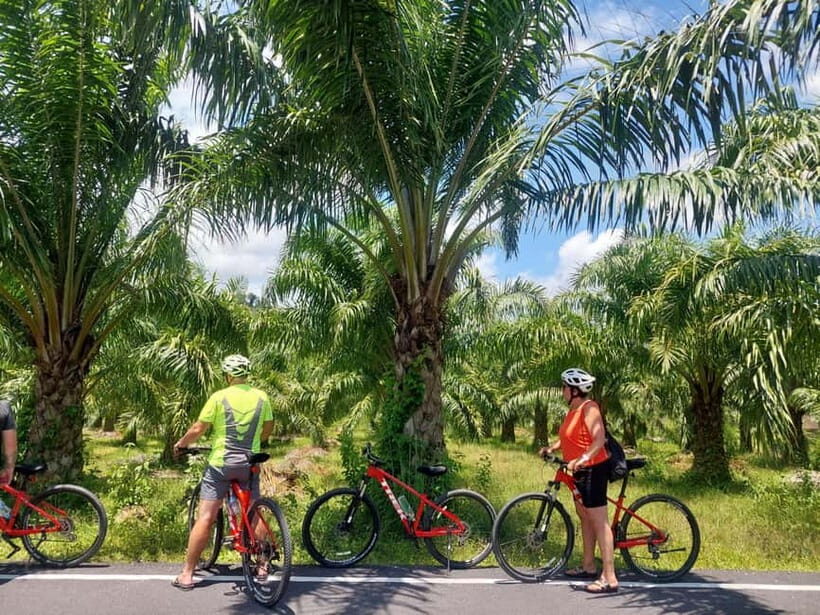 Khao Lak: Half-day Waterfalls & Lakes Bike Tour with Lunch - Final Thoughts
