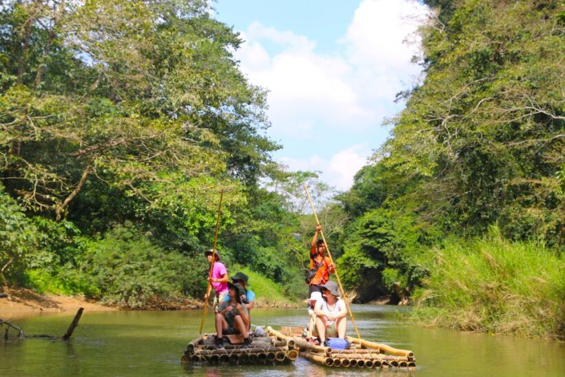 Khao Lak: Khao Sok Bamboo Rafting and Elephant Bathing Trip - A Day in the Jungle: What to Expect
