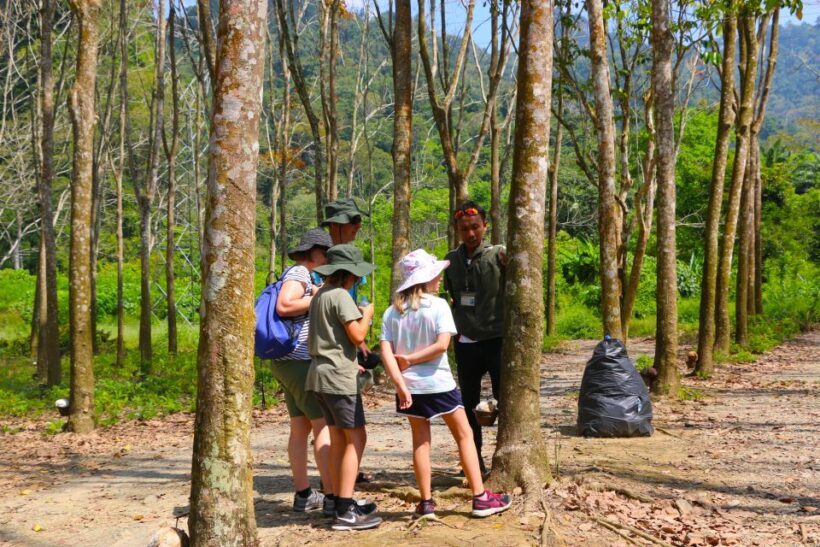Khao Lak: Khao Sok Bamboo Rafting and Elephant Bathing Trip - Detailed Itinerary Breakdown