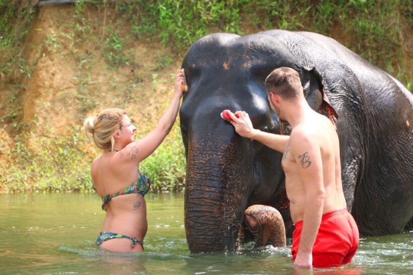 Khao Lak: Khao Sok Bamboo Rafting and Elephant Bathing Trip - Final Thoughts