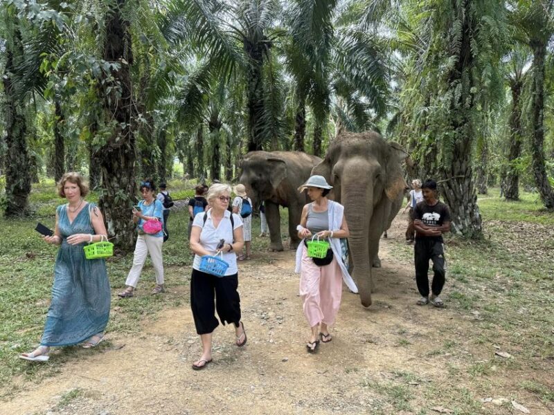 Khao Lak: Khao Sok Elephant Sanctuary and Night Jungle Walk - What the Reviews Say