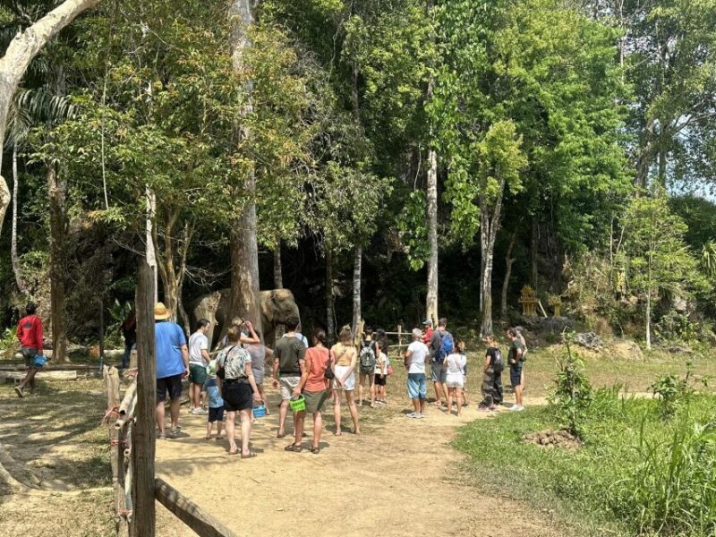 Khao Lak: Khao Sok Elephant Sanctuary and Night Jungle Walk - FAQs